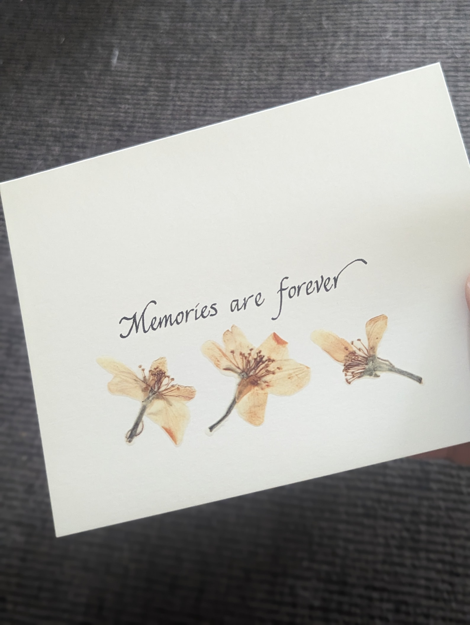 Christian Sympathy Card, Care Card, Care and Comfort, Comfort Card ...