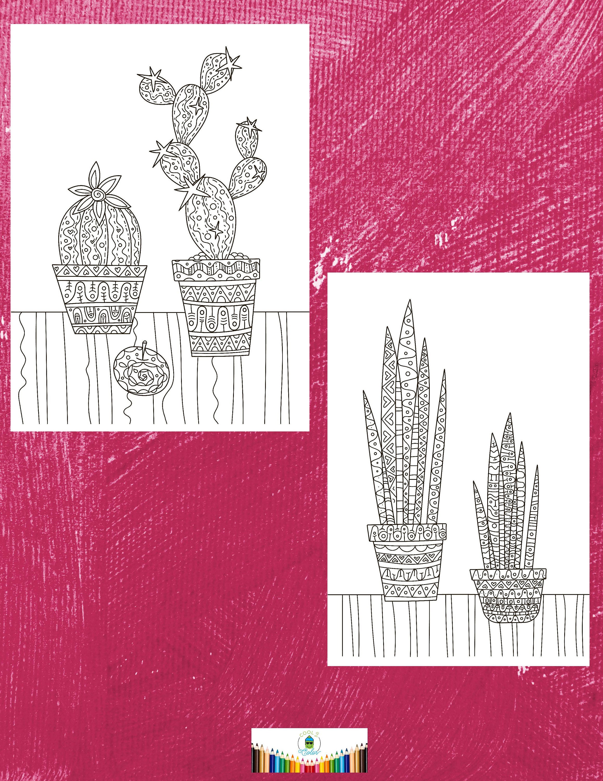 Ten (10) Simple and Complex Flowers and Cacti Coloring Pages for ...
