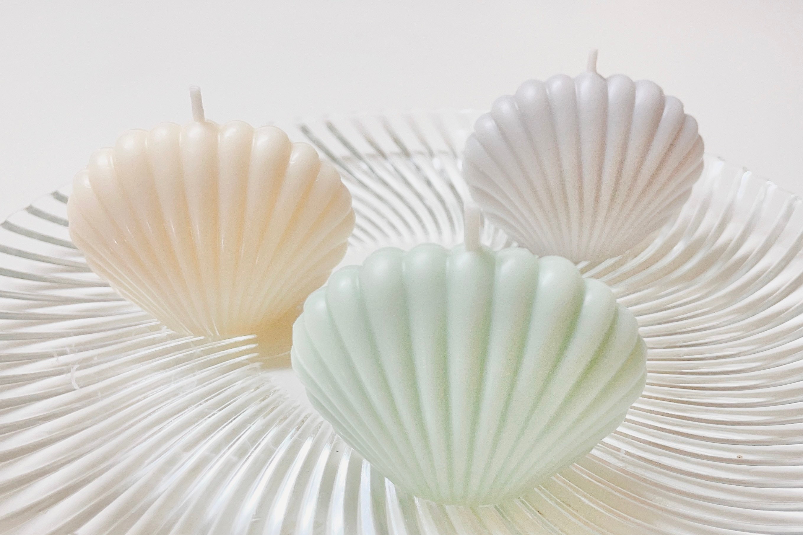 Handmade Soy Shell Candle Shell Candle Soy Vegan Home | Etsy