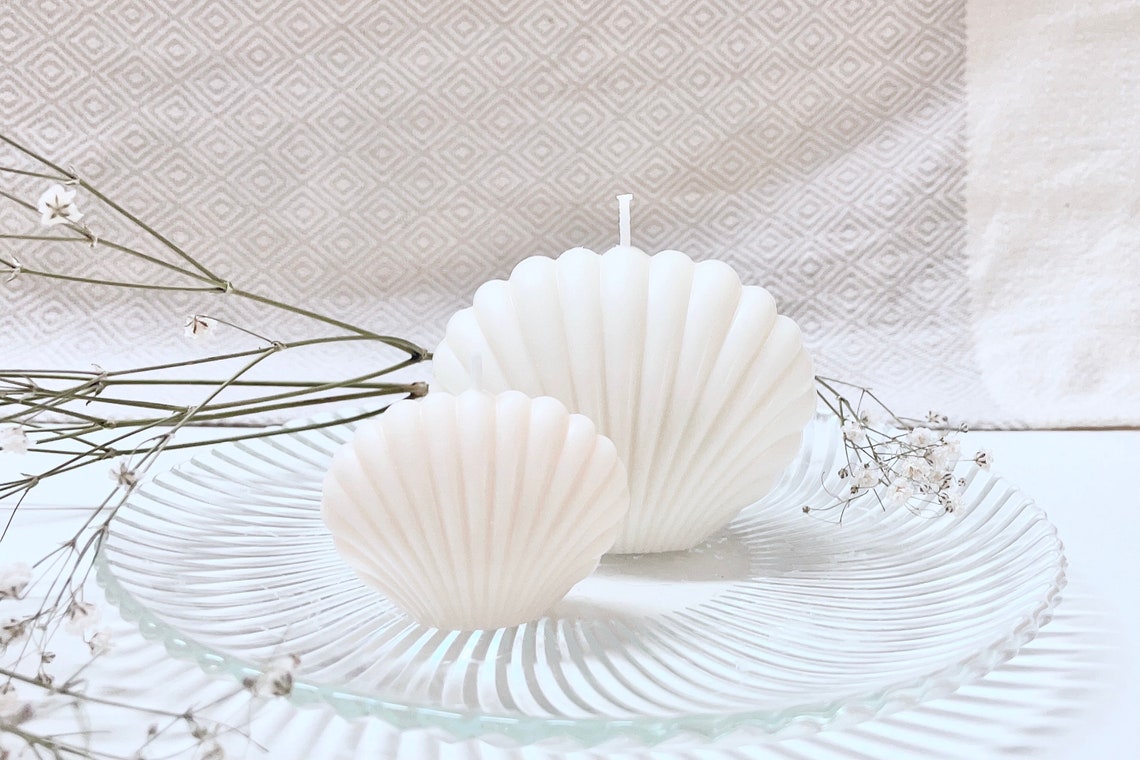 Handmade Soy Shell Candle Shell Candle Soy Vegan Home | Etsy
