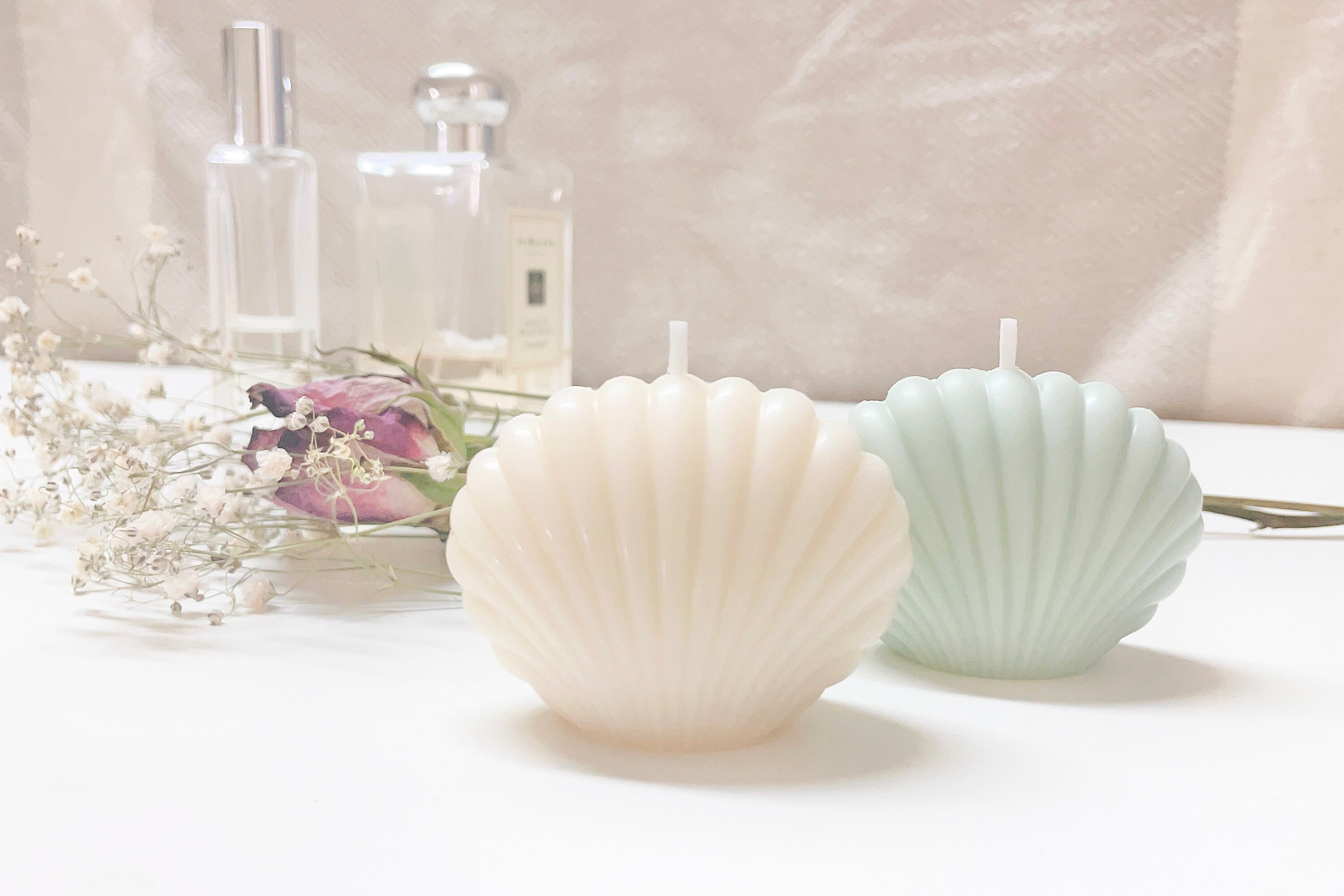 Handmade Soy Shell Candle Shell Candle Soy Vegan Home | Etsy