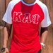 Kappa Alpha Psi T Shirt - Etsy