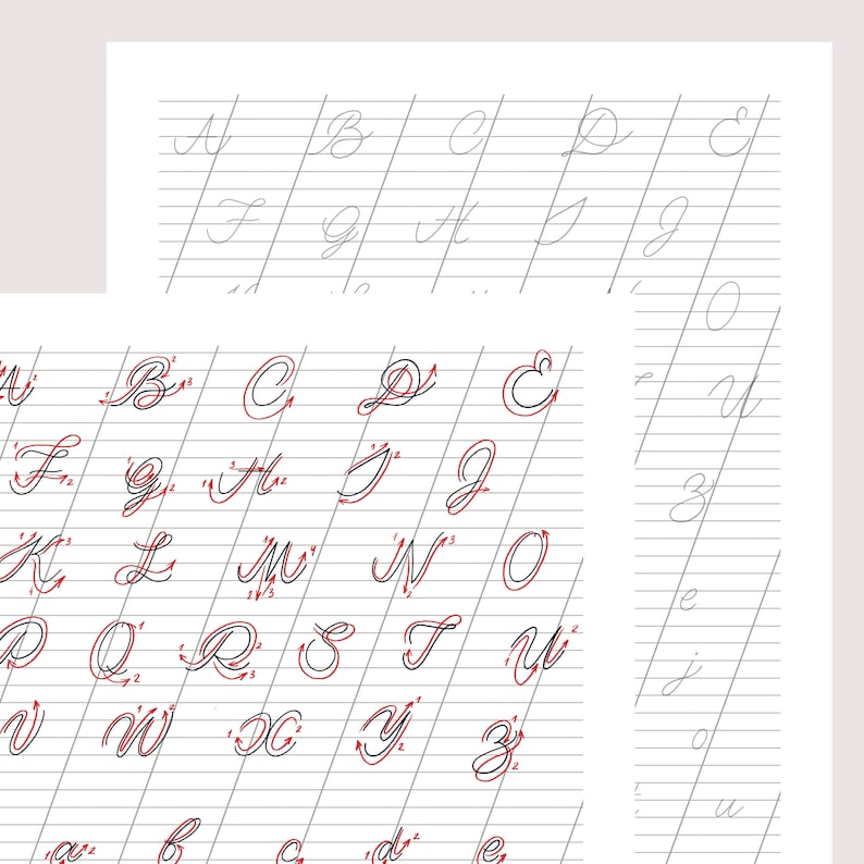 Monoline Cursive Latin Alphabet Calligraphy Practice Sheets, Work Book ...