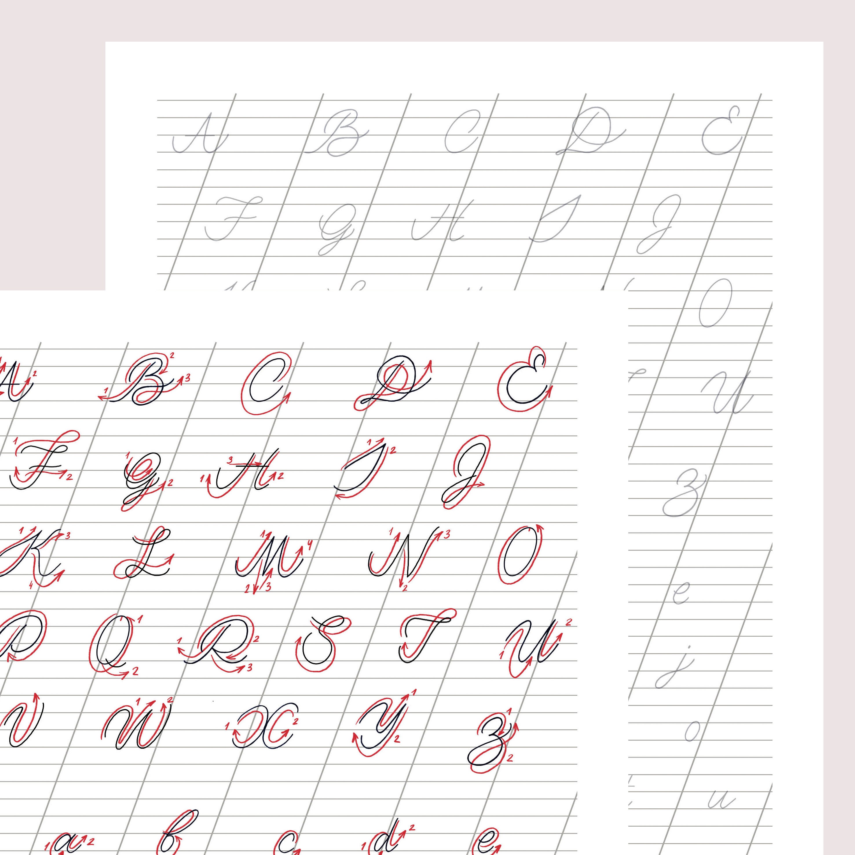 Monoline Cursive Latin Alphabet Calligraphy Practice Sheets, Work Book ...