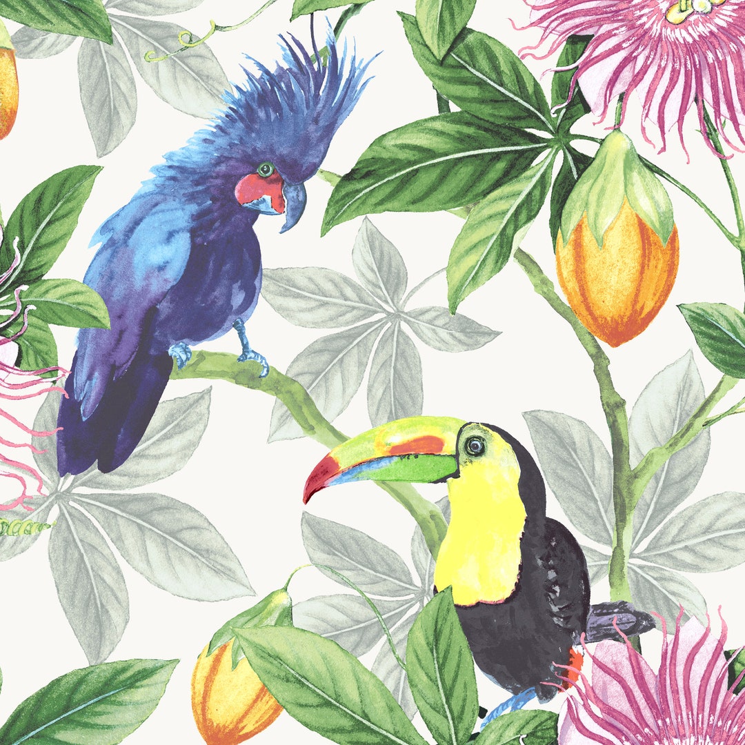 Parrot Wallpaper 'tom & Suzanne' / Toucan Wallpaper / Cockatoo ...