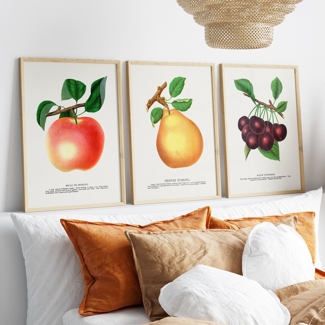 3 Obst Vintage Gemälde, Trendy Wand Kunst Küchen Dekor, Kirsche, Birne ...