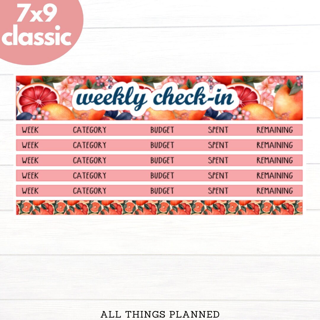 7x9 Classic Aug. fruit Weekly Checkin Budget Planner Stickers - Etsy