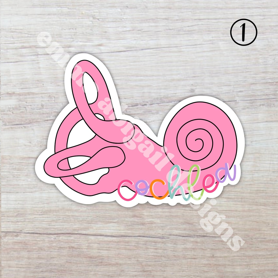 Cochlea Sticker Audiologist Sticker Audiology Laptop Decal - Etsy