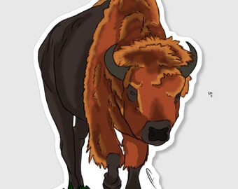 Psychedelic Buffalo Bumper Sticker - Etsy