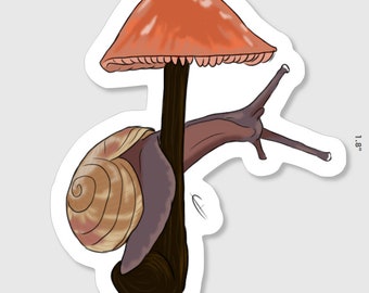 Snail Sticker - Etsy