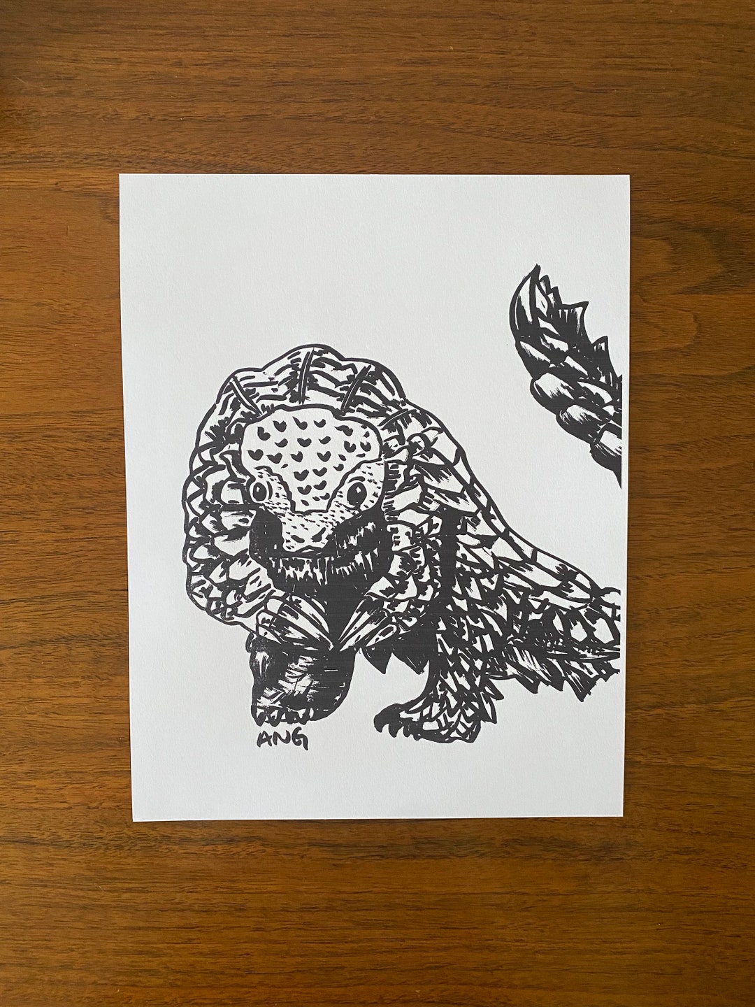 Pangolin Print Drawing 8.5 X 11in - Etsy