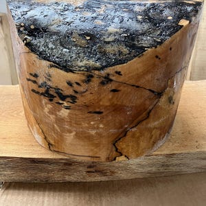 Huge, Spalted, Stabilized, Hard Maple Turning Block. Large Bowl Blank ...