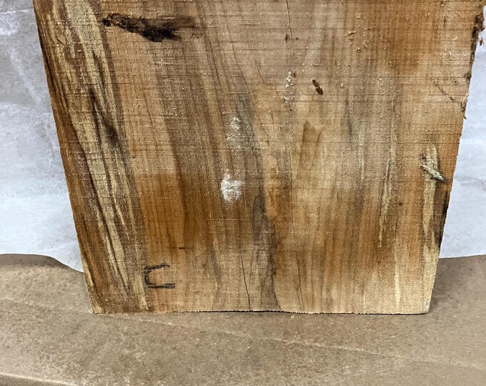 Huge, Spalted, Stabilized, Hard Maple Turning Block. Large Bowl Blank ...