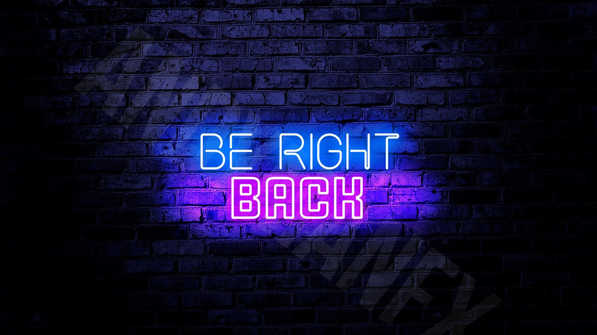 Neon Sign Overlay Bundle - Etsy Canada