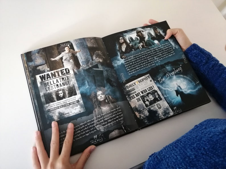 The Complete Life of Lord Voldemort Illustrated Book From | Etsy