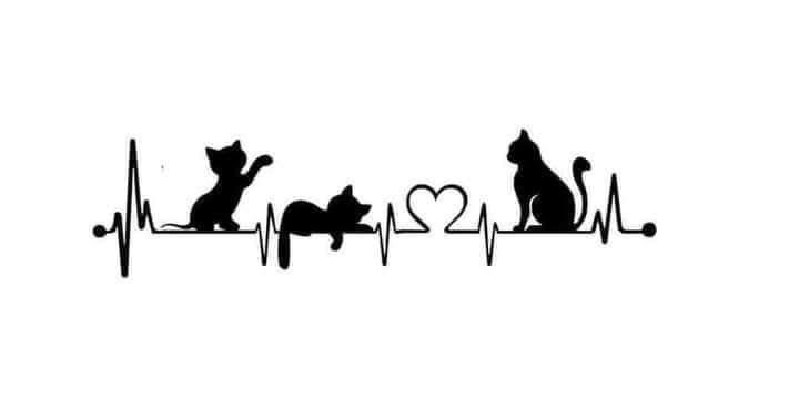 Cat Pulse SVG - Etsy