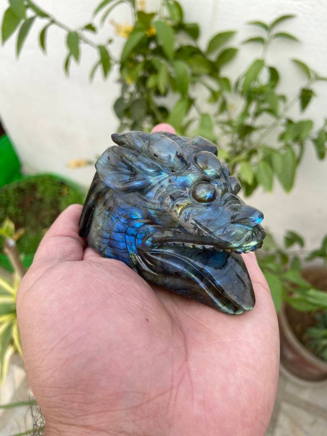 Hand Carved Labradorite Dragon Head | Natural Flashy Crystal Dragon ...