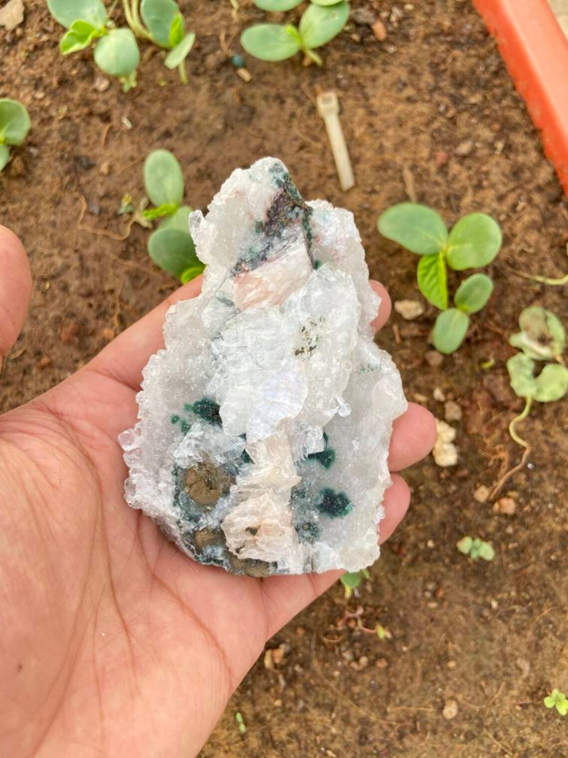 Crystal Quartz Geode Quartz Geode Clear Quartz Cluster | Etsy