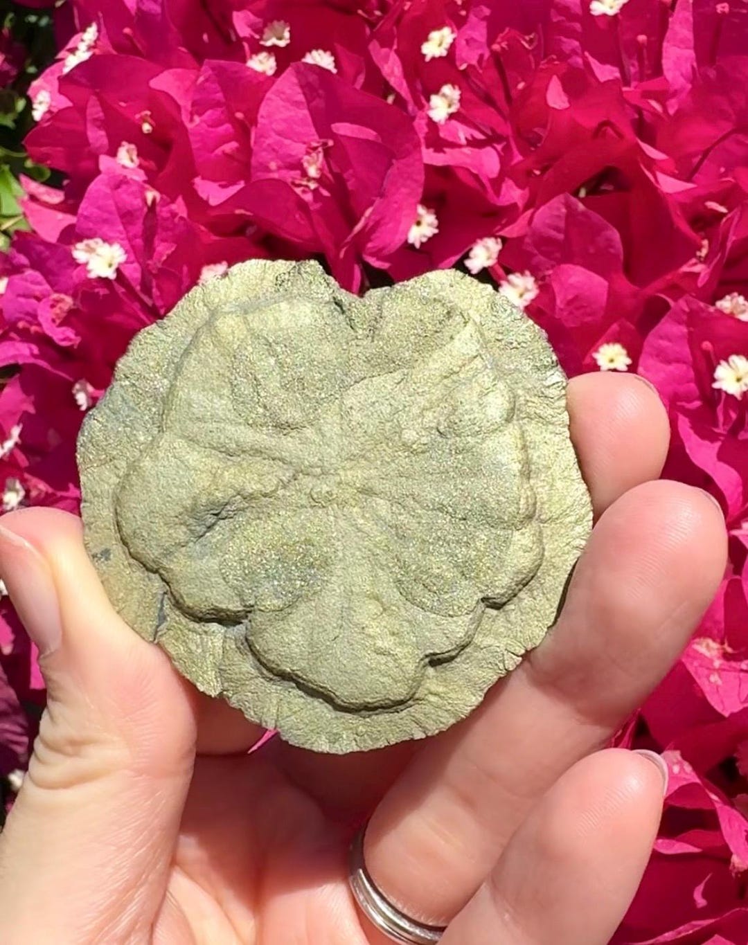 Natural Pyrite Sun | Fools Gold Crystal Formation - Etsy