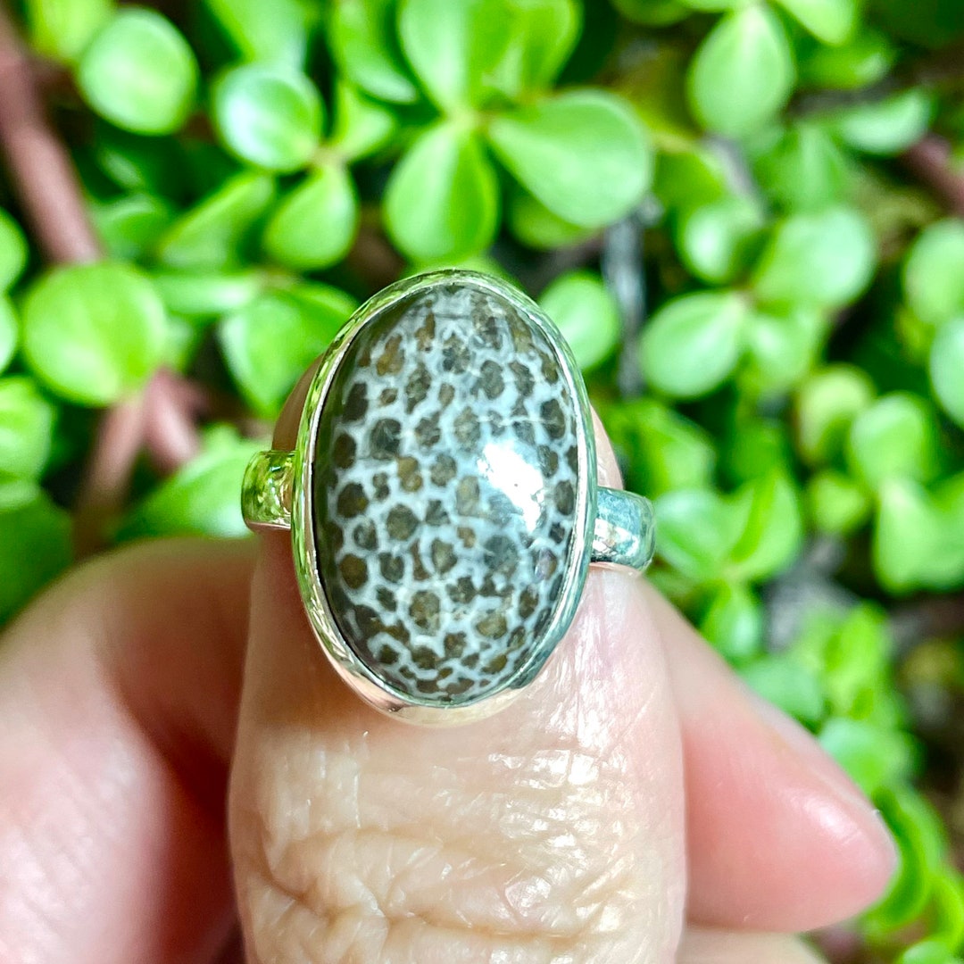Fossilized Coral Ring - Etsy