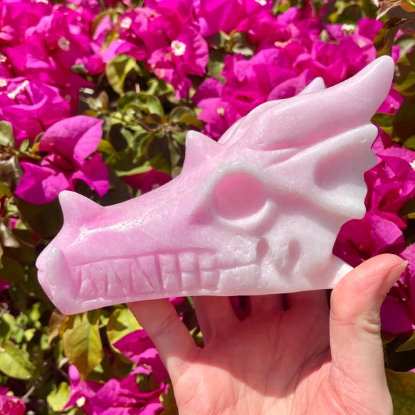 Pink Dragon Head - Etsy