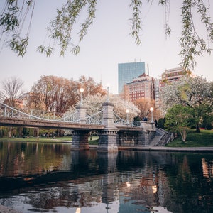Boston Public Garden Sunset in the Spring Art Wall Print - Back Bay ...