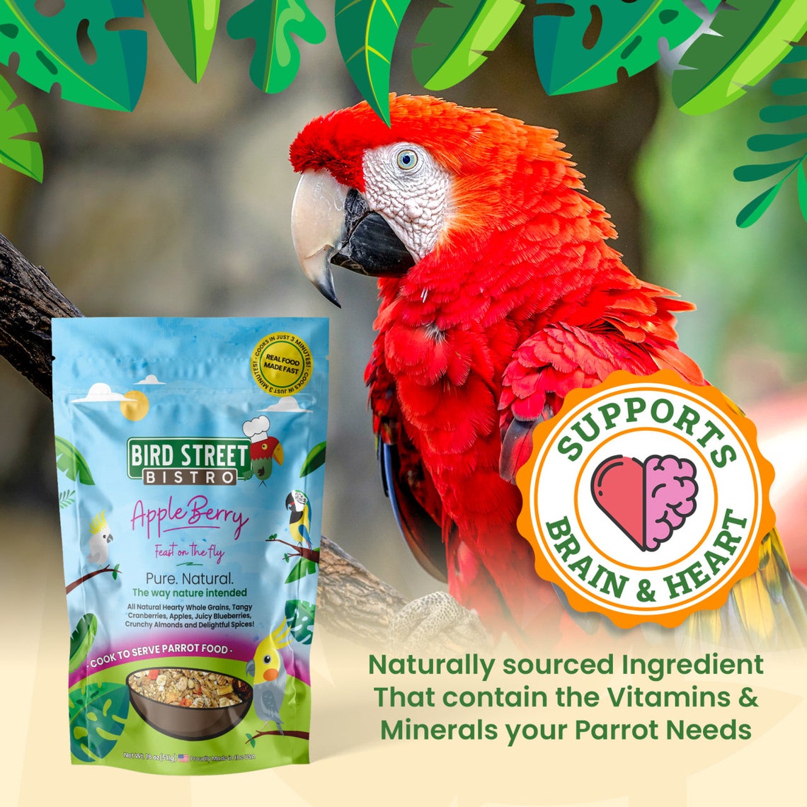 Parrot Food by Bird Street Bistro, Appleberry, All Natural Grains and ...