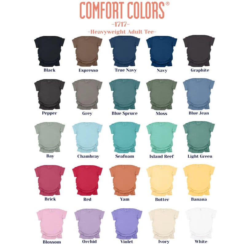 Blank Shirt, Comfort Colors T-shirt, C1717 Shirt, BLANK Comfort Colors ...