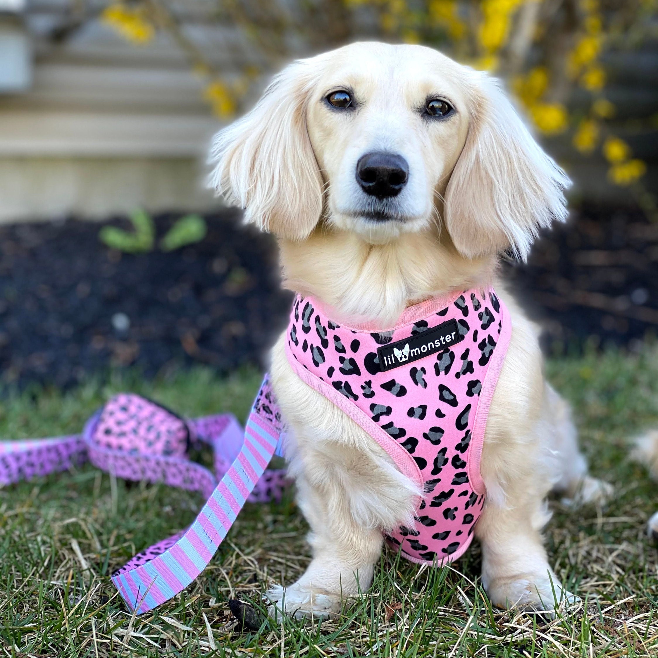 Reversible Dog Harness | Leopard Print | Stripe Print | Pink | Gray ...