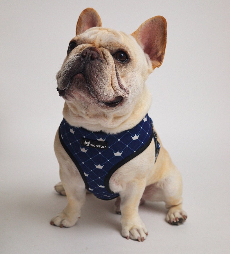 Reversible Dog Harness | Crown Print| Stripe Print | Blue | White ...