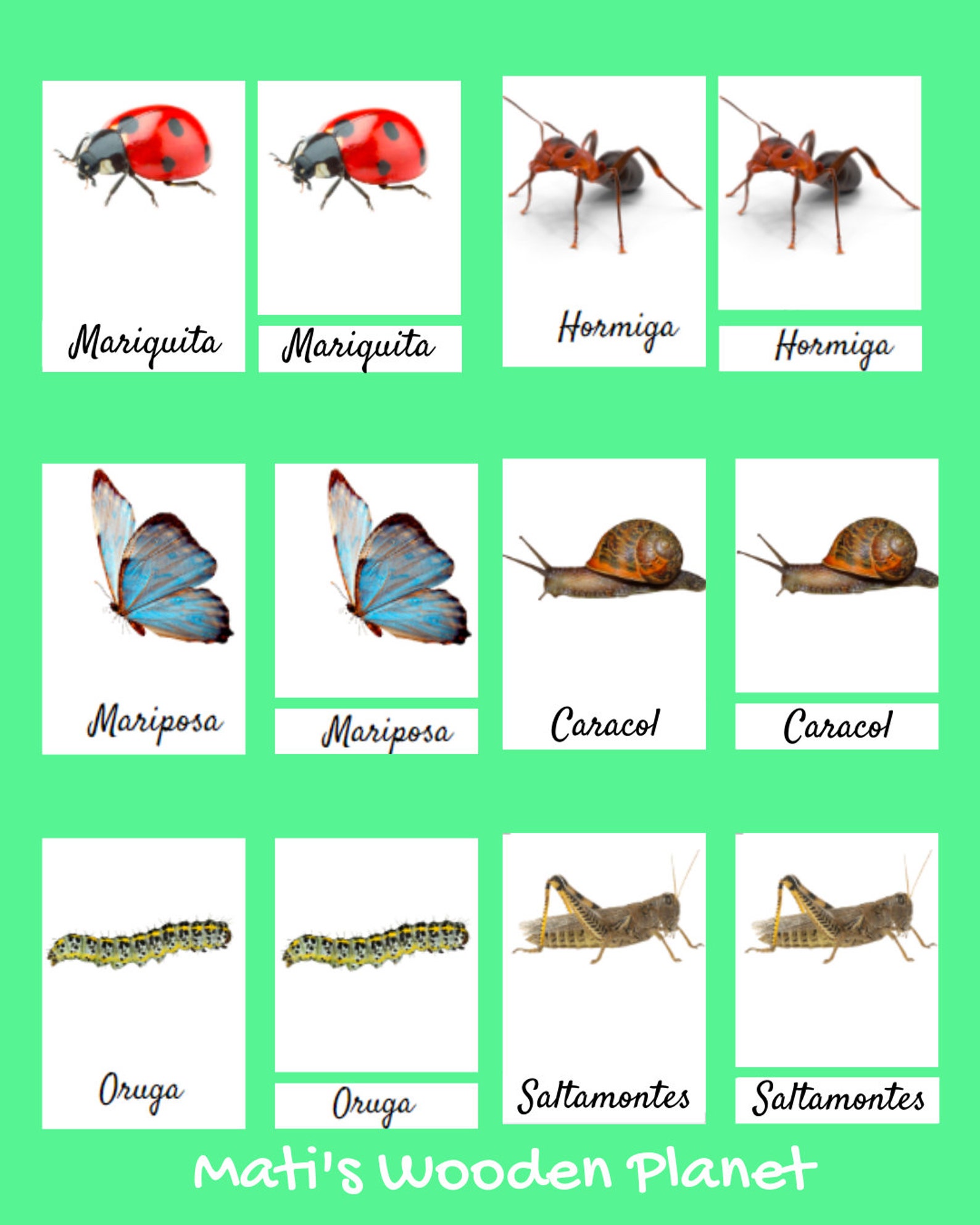 Tarjetas para imprimir 3 partes Insectos Cursiva - Etsy México