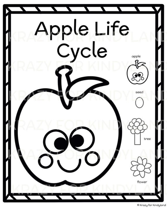 Tree Life Cycle Coloring Page