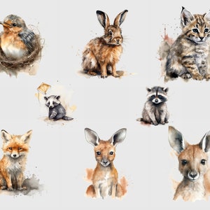 Watercolor Forest Animal Clipart, PNG, Watercolor Forest Animals ...
