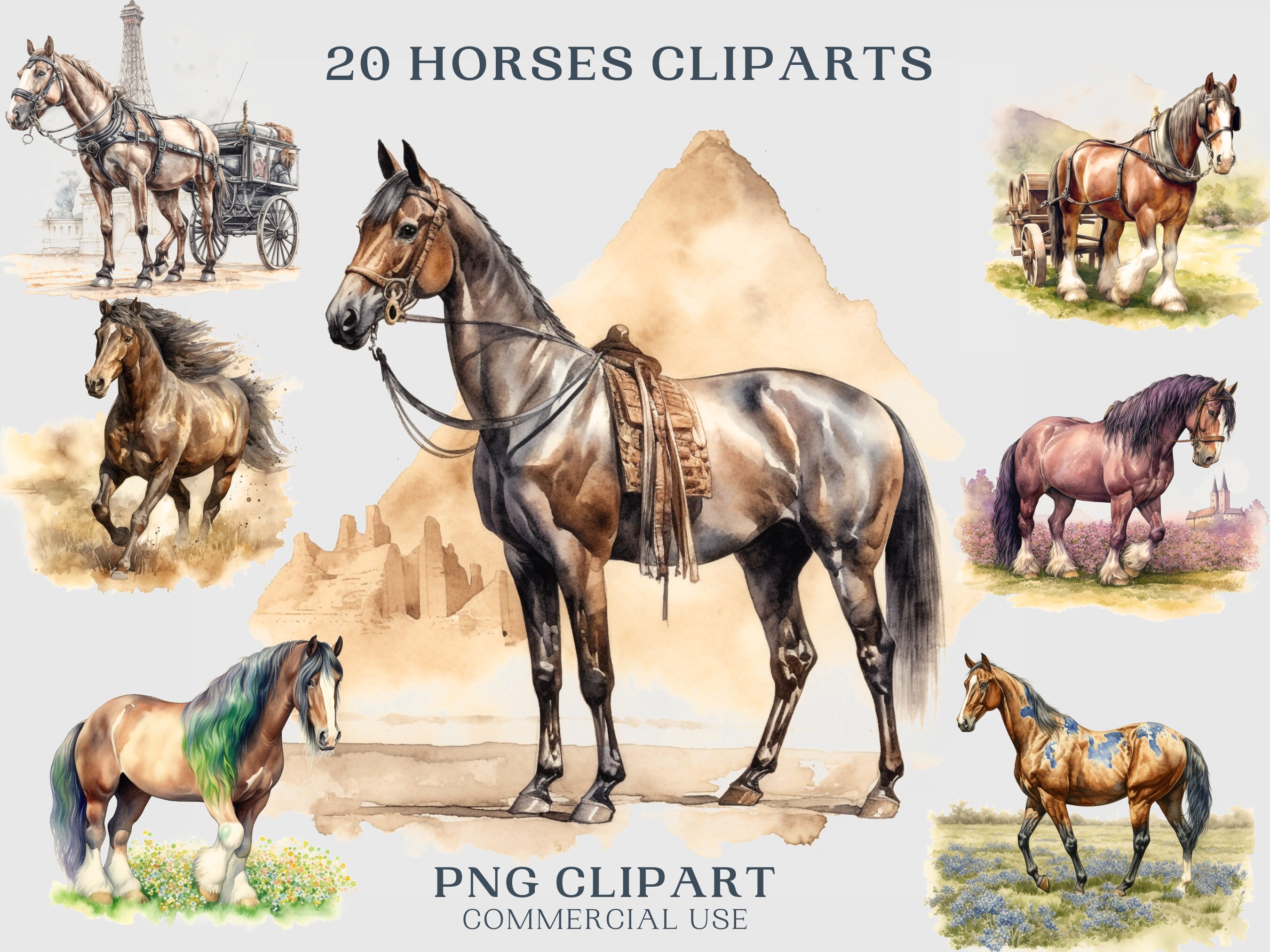 Watercolor Horse Clipart Wild Horses on the Beach Clipart - Etsy