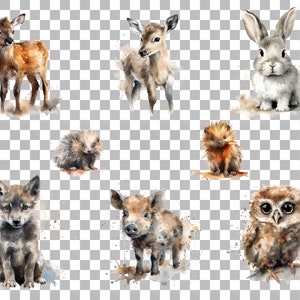 Watercolor Forest Animal Clipart, PNG, Watercolor Forest Animals ...