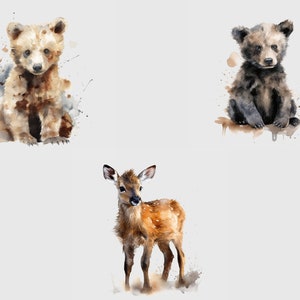Watercolor Forest Animal Clipart, PNG, Watercolor Forest Animals ...