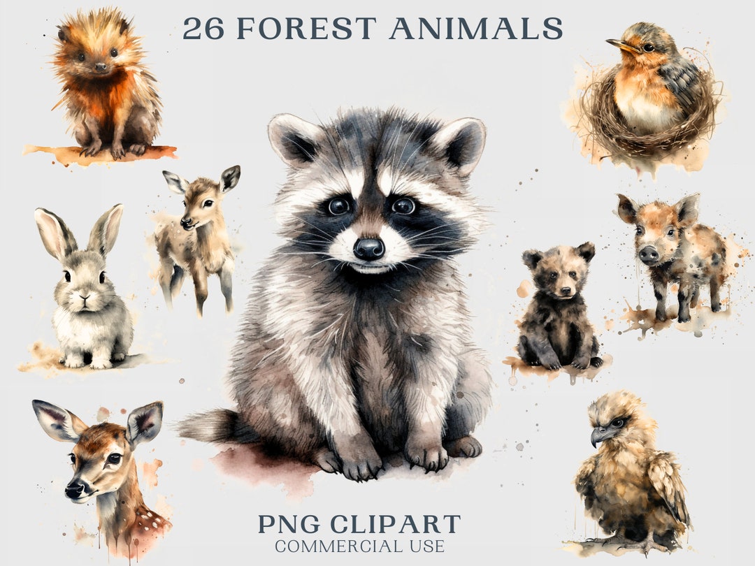 Watercolor Forest Animal Clipart, PNG, Watercolor Forest Animals ...