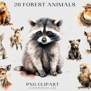 Watercolor Forest Animal Clipart, PNG, Watercolor Forest Animals ...