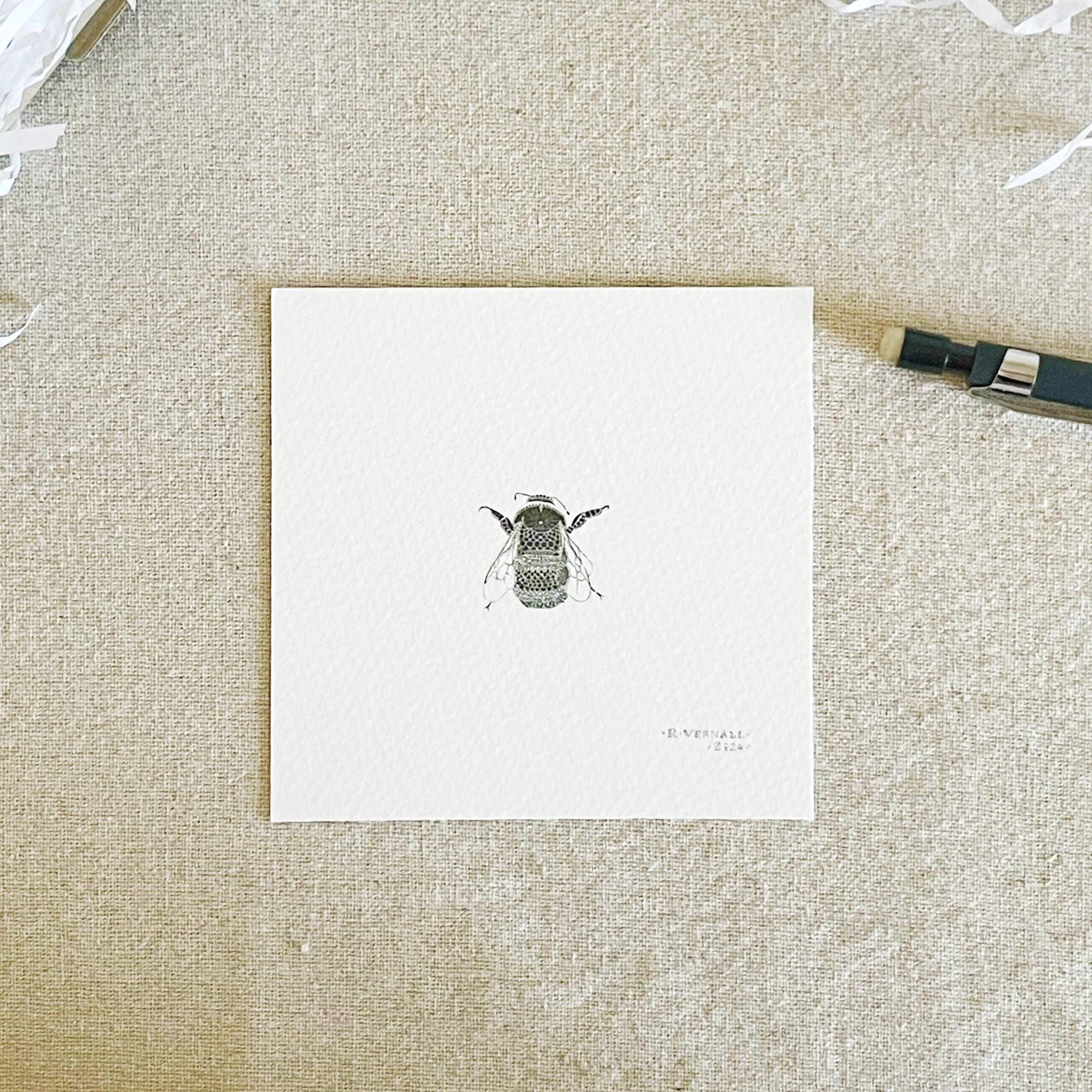 Bumble Bee Miniature Pen and Ink Drawing Fine Art Print - Etsy