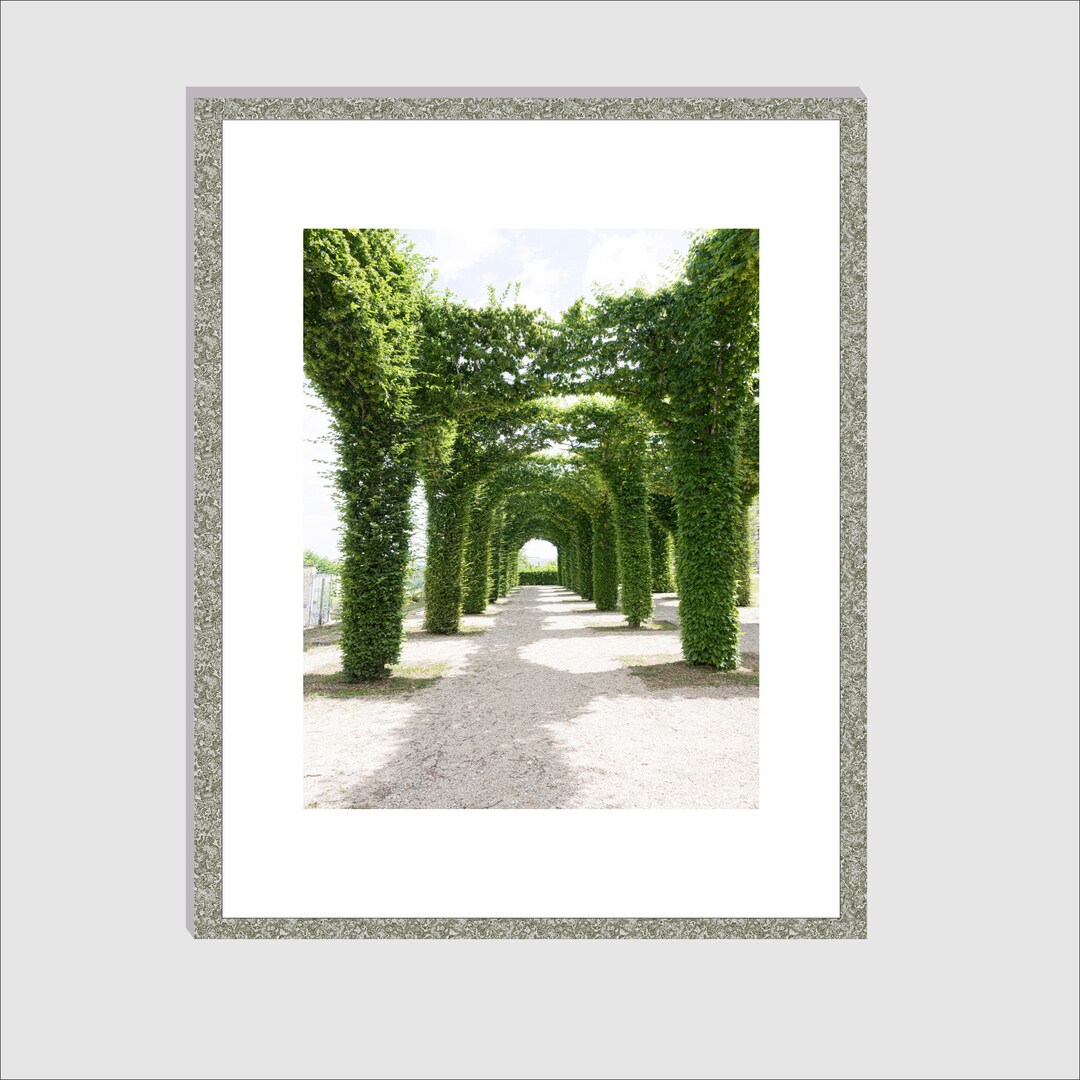 France Photography, Europe Fine Art, Arbor in the Park, Arches of ...