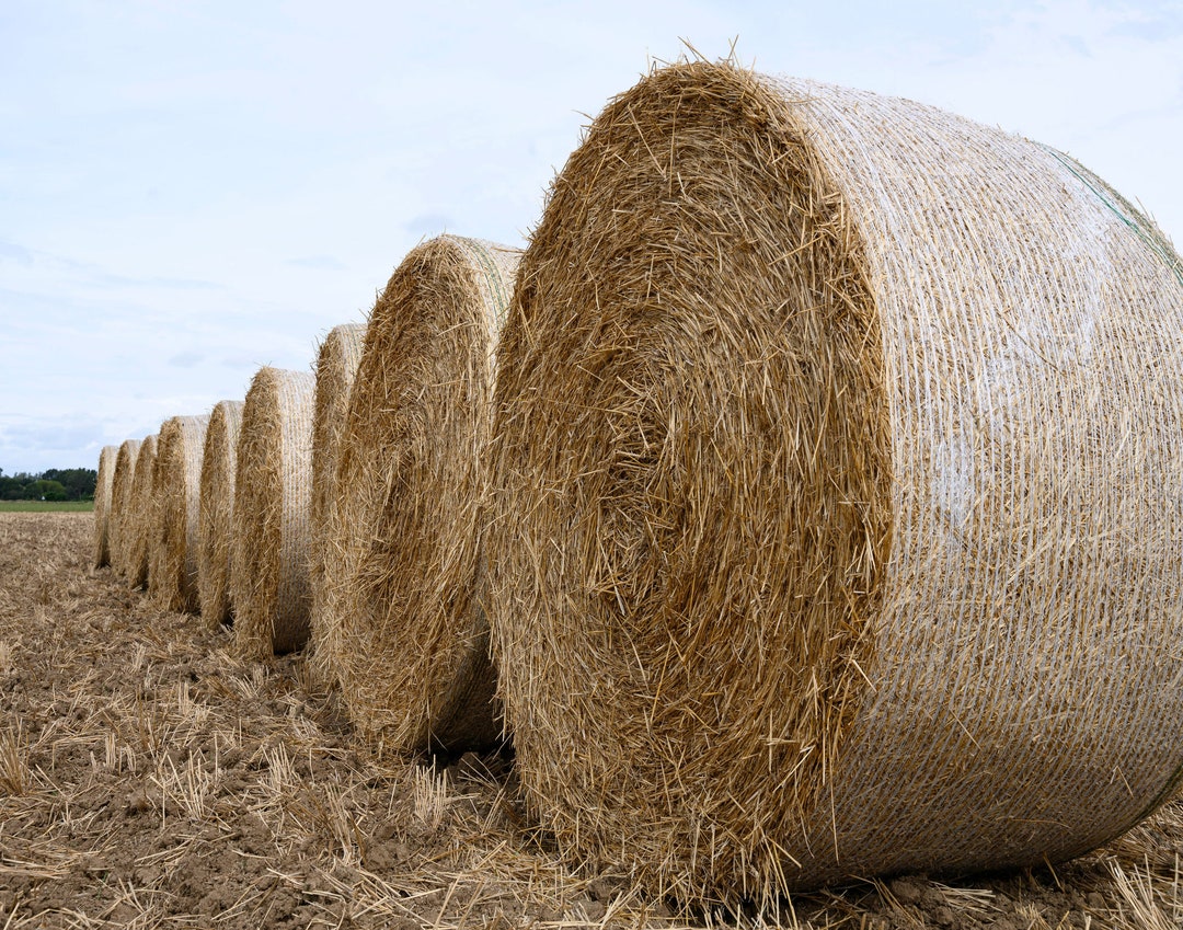 Hay Bales Print Set 3, French Province, France Photography, Farmhouse ...