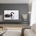Black Swan Wildlife Art for Samsung Frame TV (digital Download) - Etsy