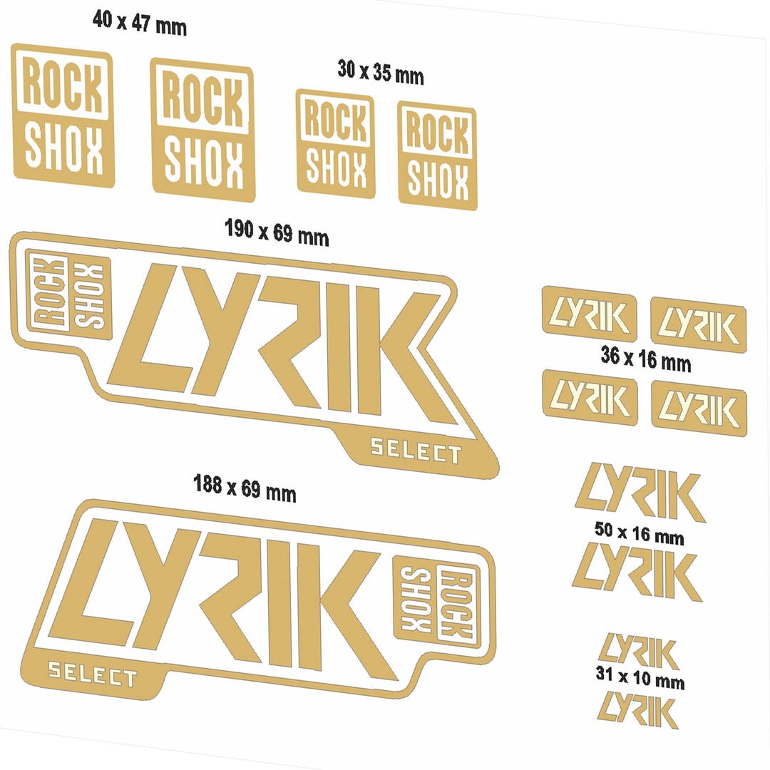 Custom Decals Fit MTB Fork Rockshox Lyrik Select 2019-2022 - Etsy