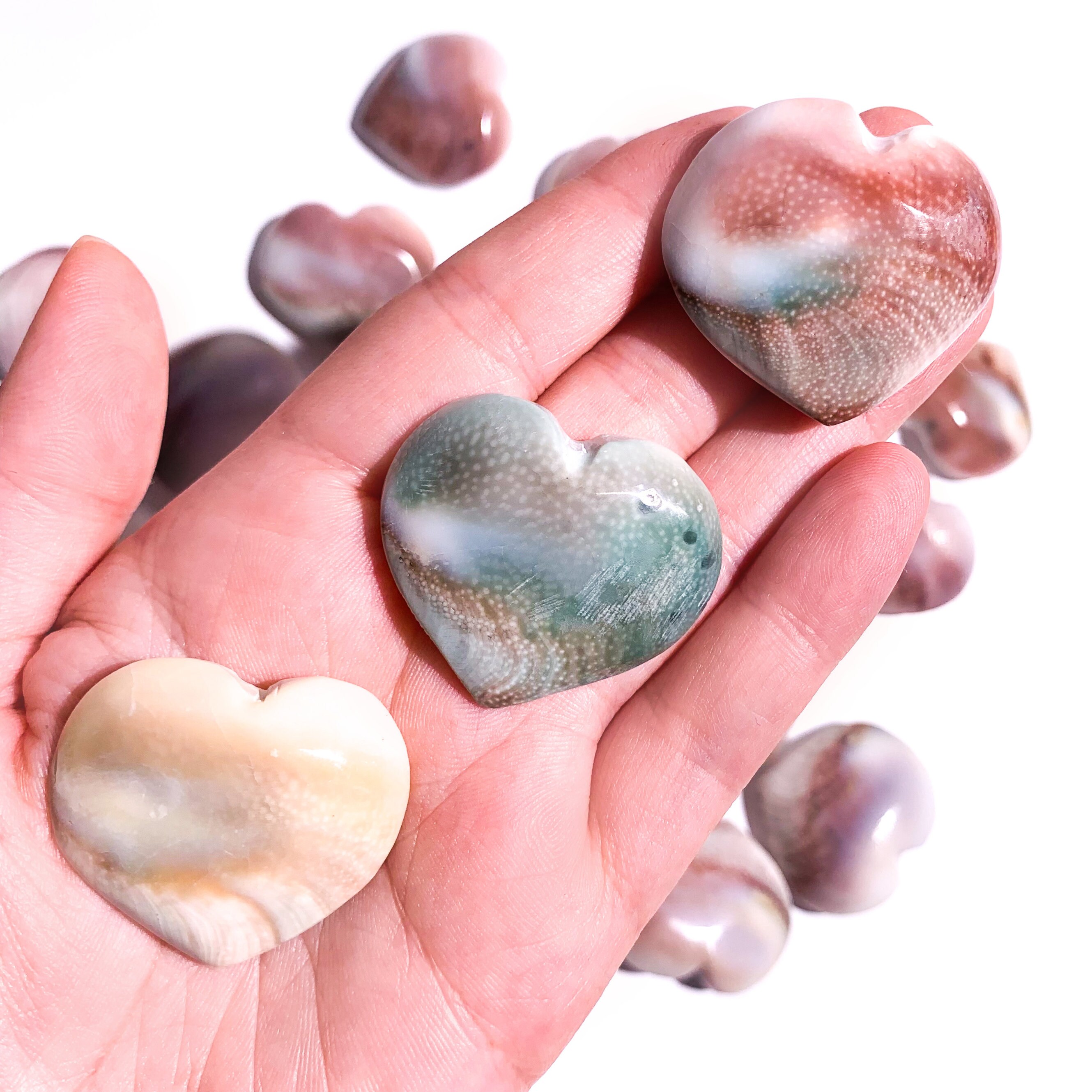 SHIVA SHELL HEARTS Shiva Shell Shell Heart Shiva Shell | Etsy