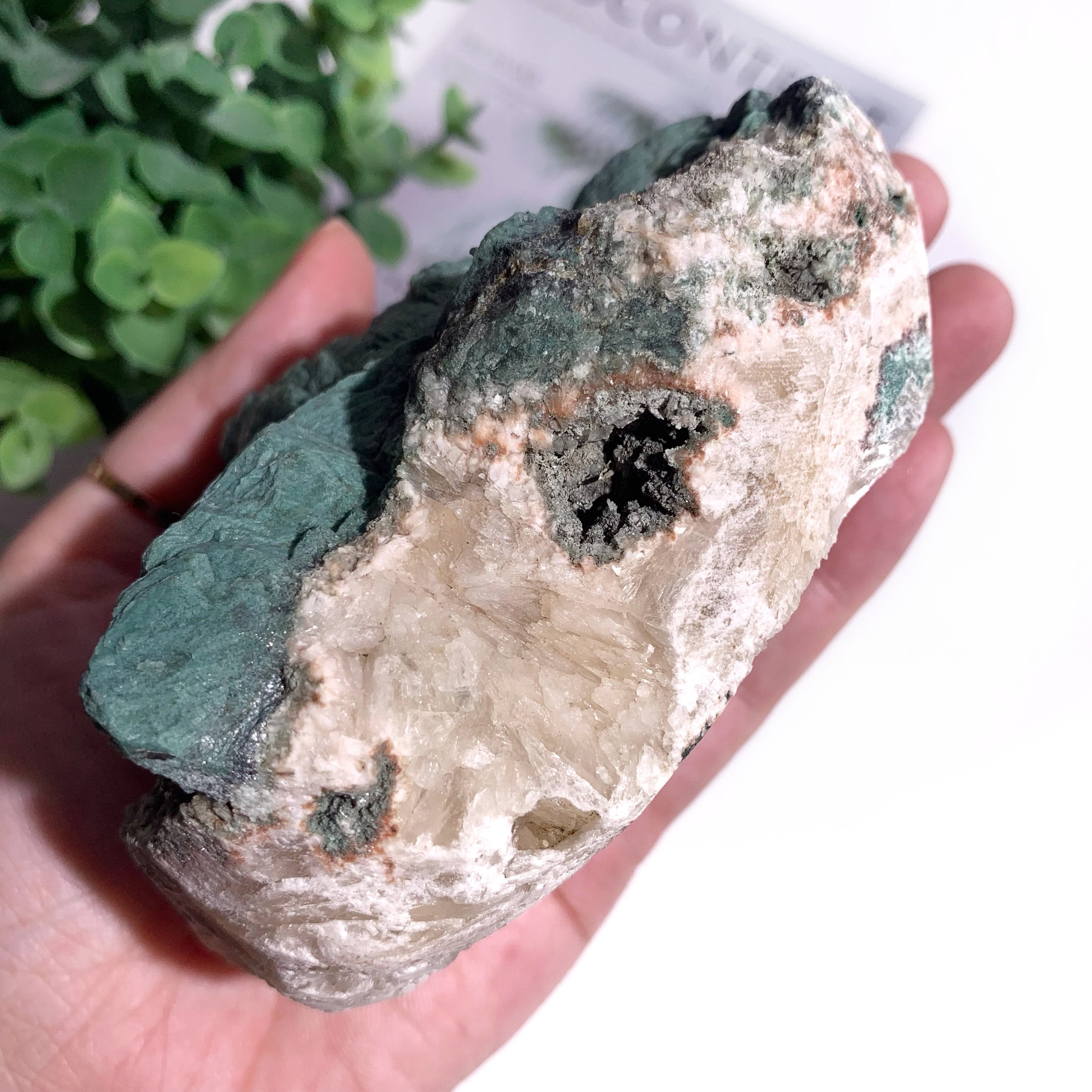 MARSHY GREEN Stilbite Green Heulandite Apophyllite | Etsy