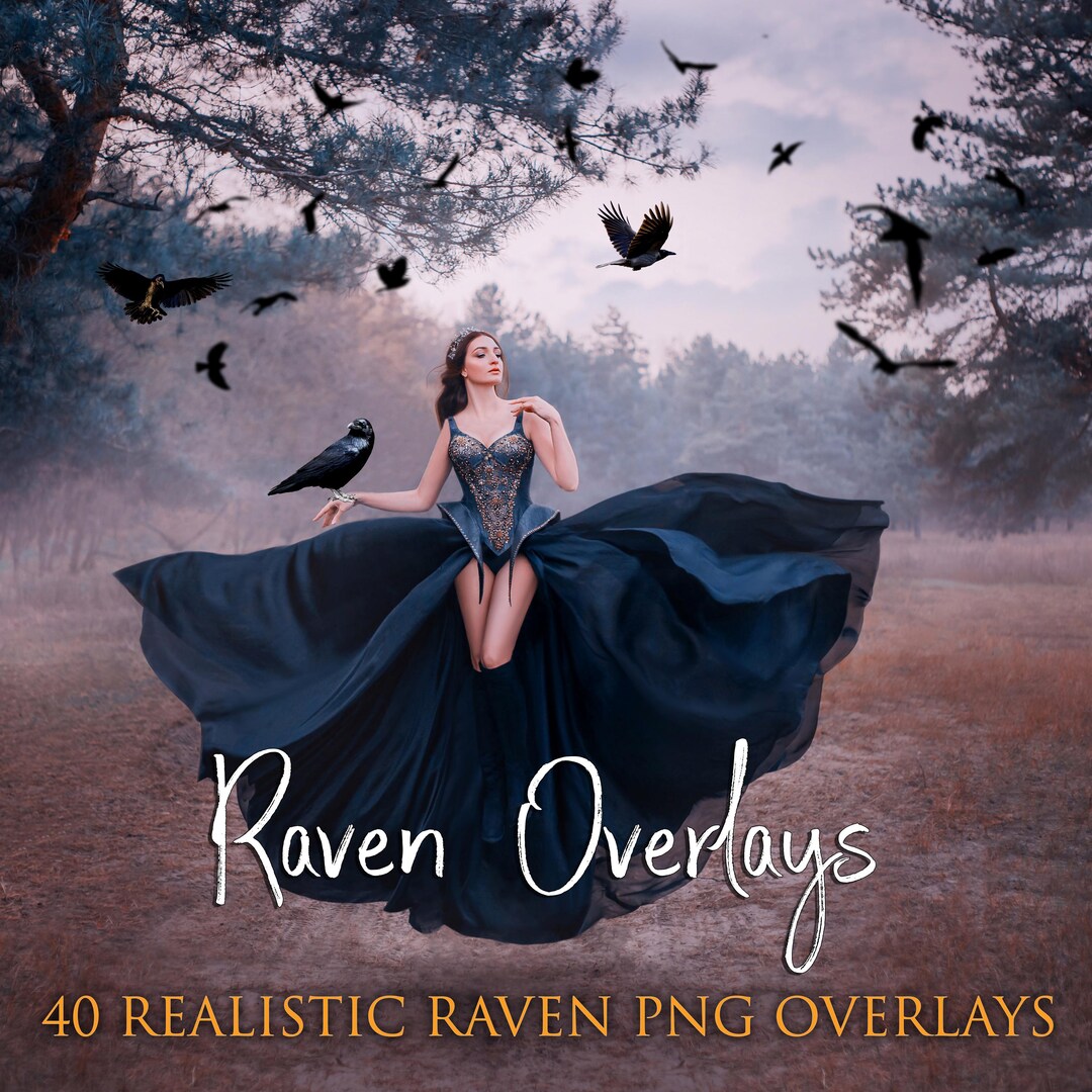 40 Realistic Raven Photo Overlays: Halloween PNG Images (digital ...