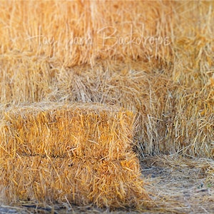 2 Old Hay Barn Backdrops, High Quality Digital Background - Etsy