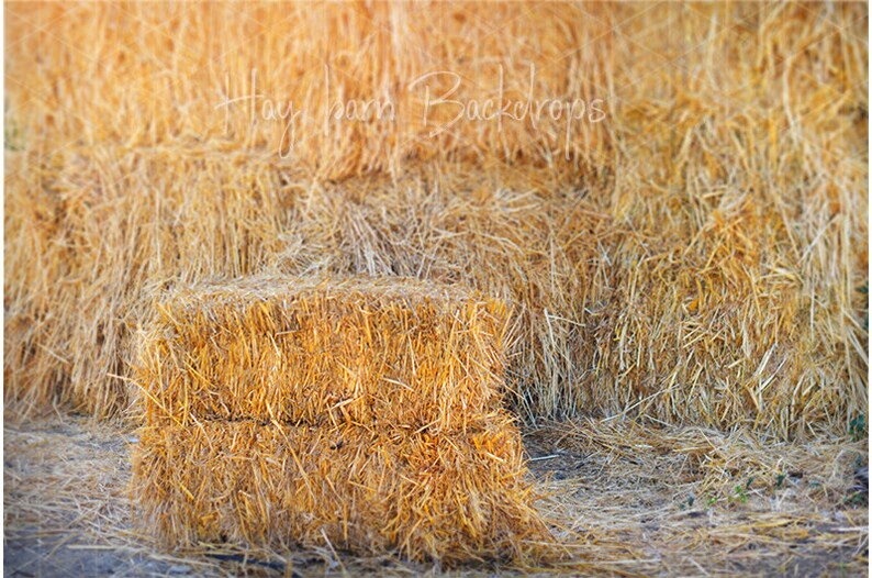 2 Old Hay Barn Backdrops High Quality Digital Background | Etsy