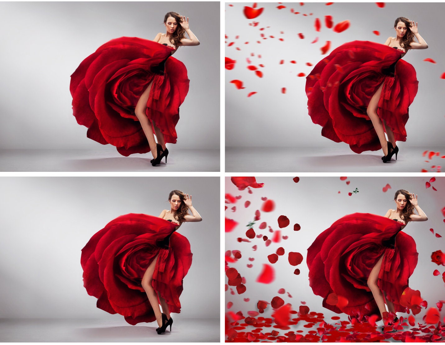 45 Rose Petals Valentine's Day Overlays - Etsy