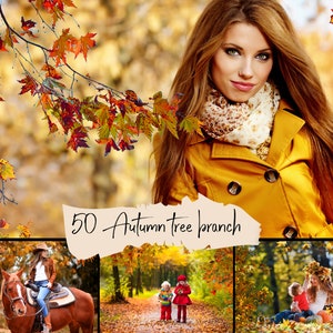 50 Autumn Tree Branch and Leaves Overlays - Etsy